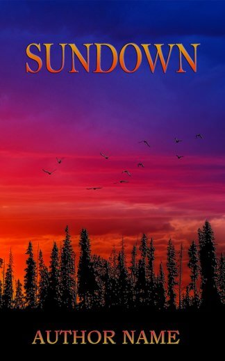 2,000+ Premade Literary Fiction Book Covers - The Book Cover Designer